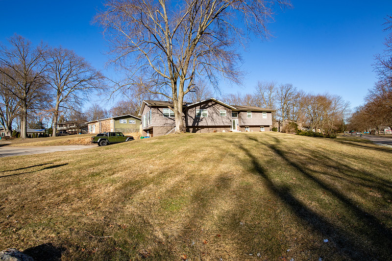 Digital Mitchell Photography | 26747 Sturdy Oak